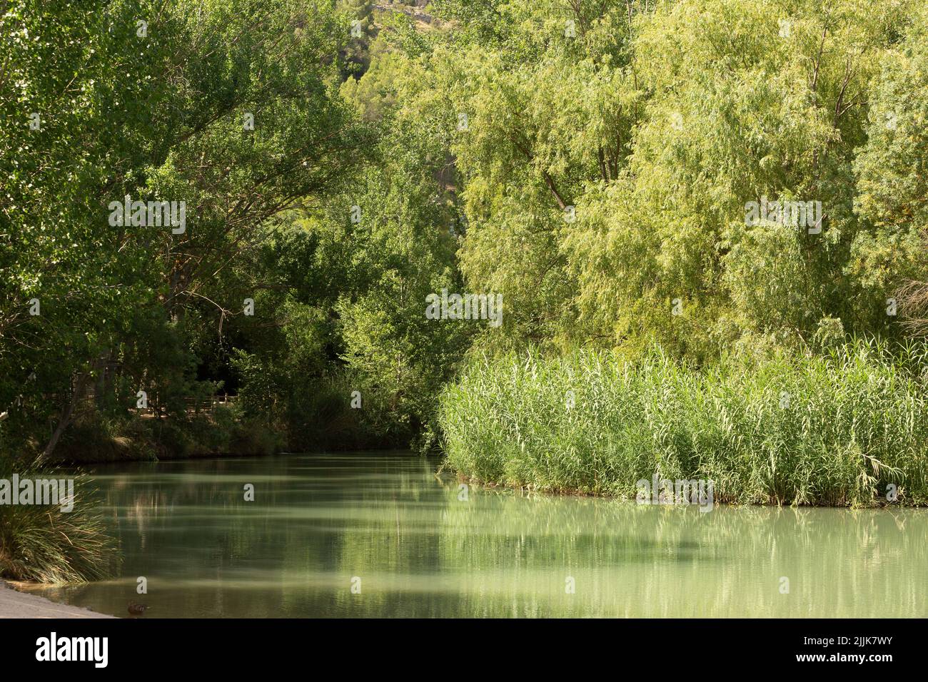Dirty river hi-res stock photography and images - Alamy