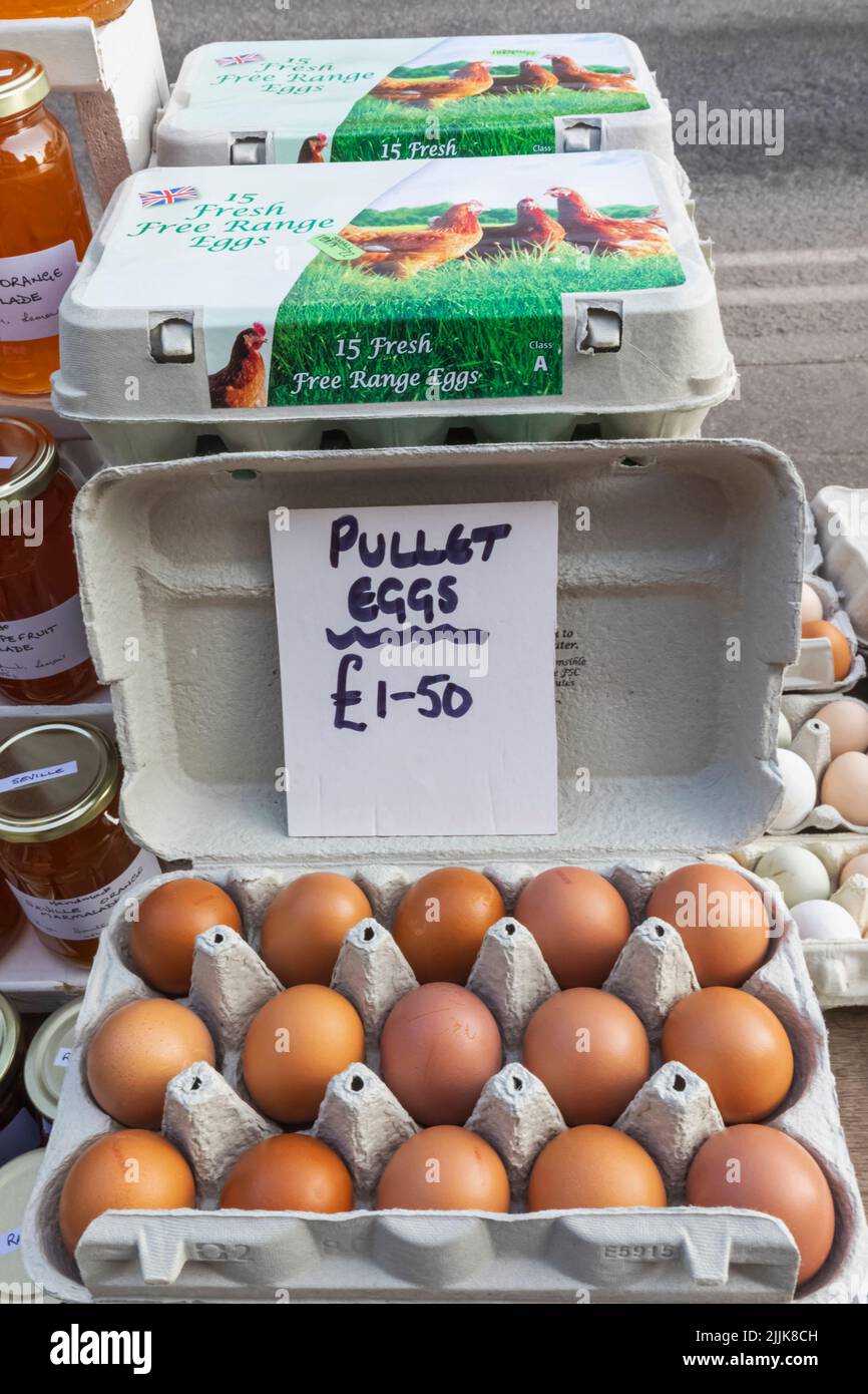 Display of pullet eggs hi-res stock photography and images - Alamy
