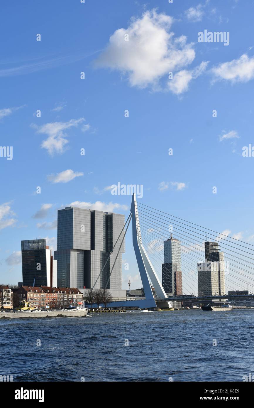 A vertical shot of Erasmus Bridge with buildings in Rotterdam ...