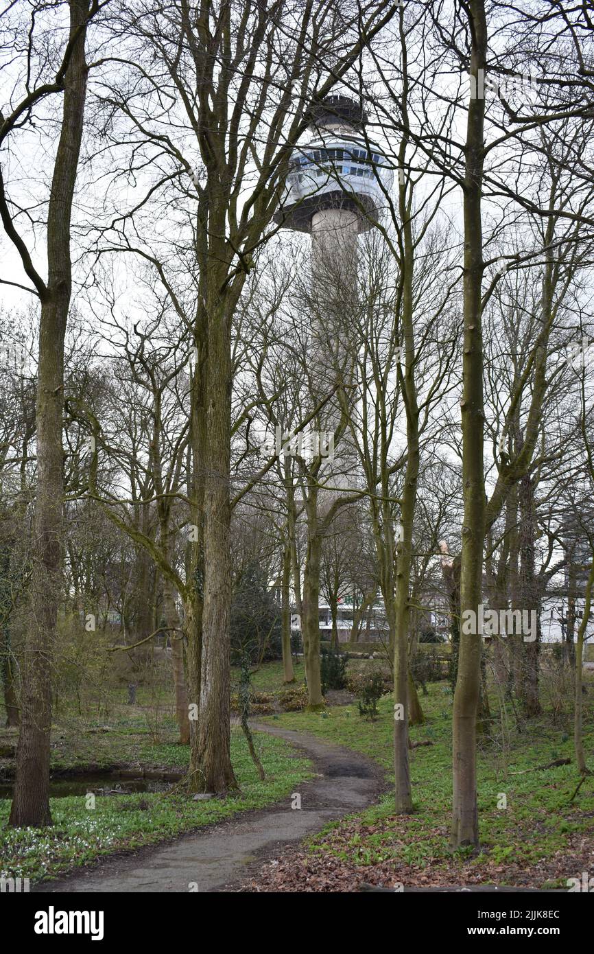 A vertical shot of a path surrounded by trees to Rotterdam Tower in ...