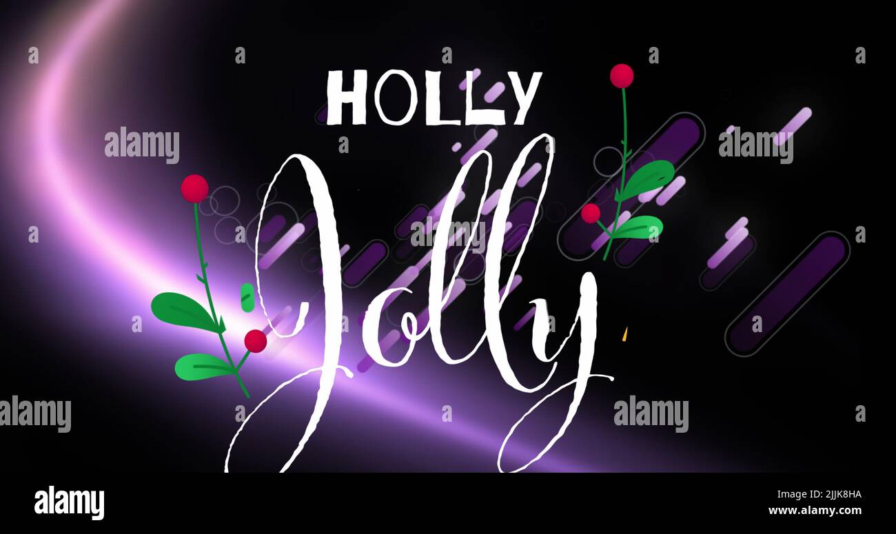 The Name Holly