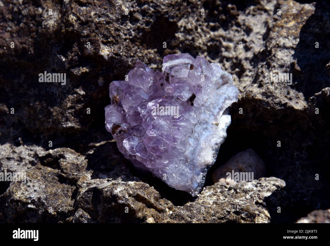 A beautiful amethyst druze lies on a stone. A splice of purple crystals ...