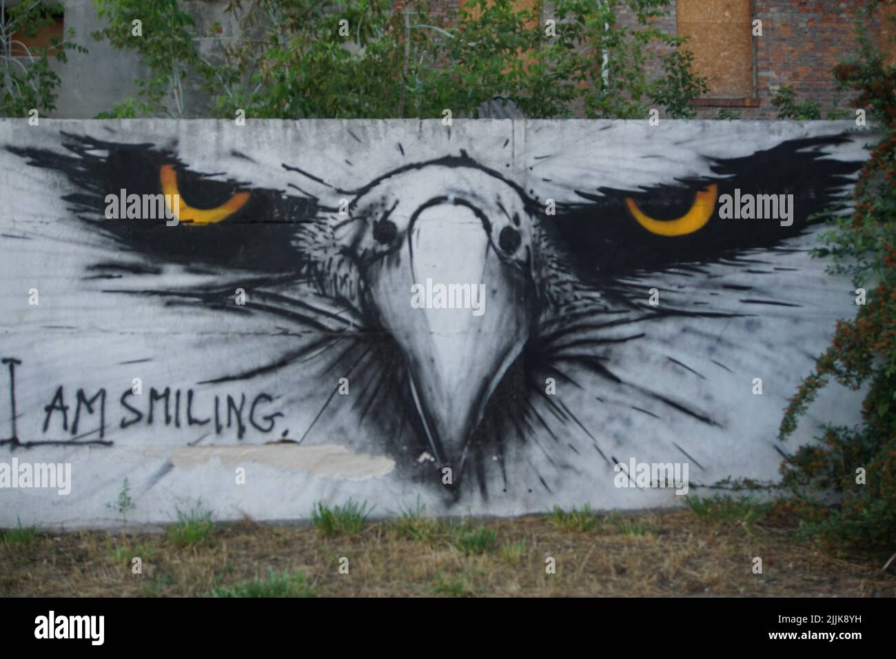 A graffiti on the wall capital city of Poland Warsaw Stock Photo - Alamy