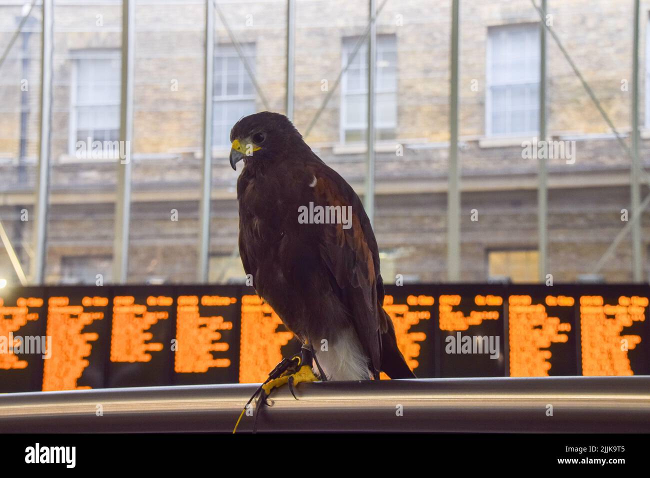 Train bird strike hi-res stock photography and images - Alamy