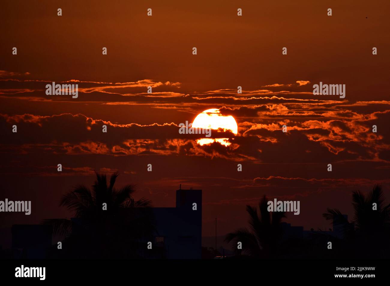 Beautiful sunset sunrise behind palm hi-res stock photography and ...