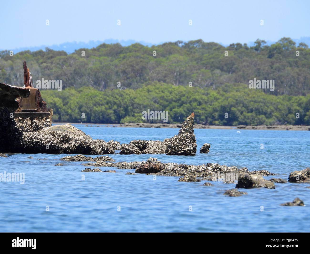 The famous SS Avon Shipwreck, Pumicestone Passage, Queensland ...