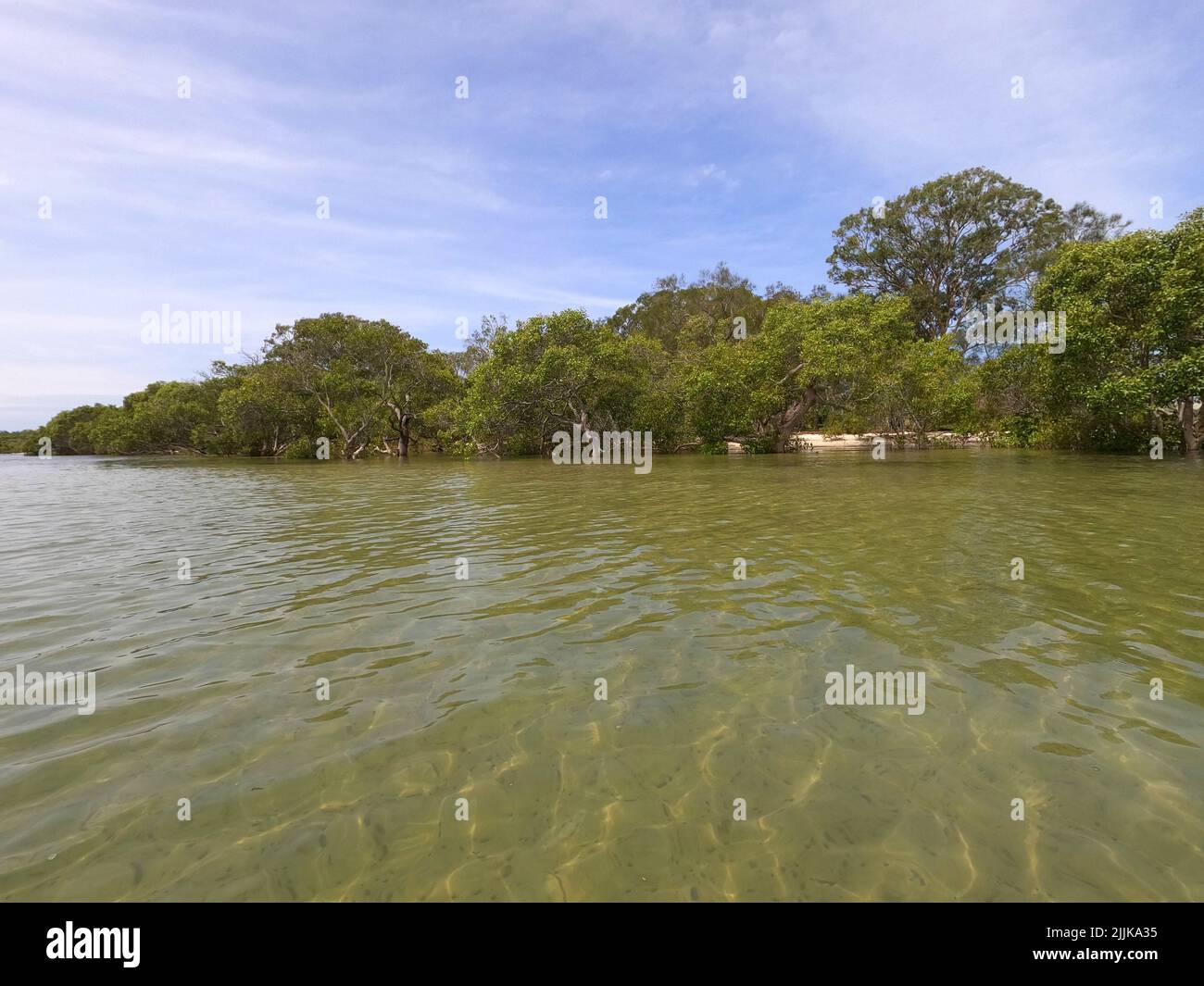 A smooth waterscape with green trees in the background. Kayaking around ...