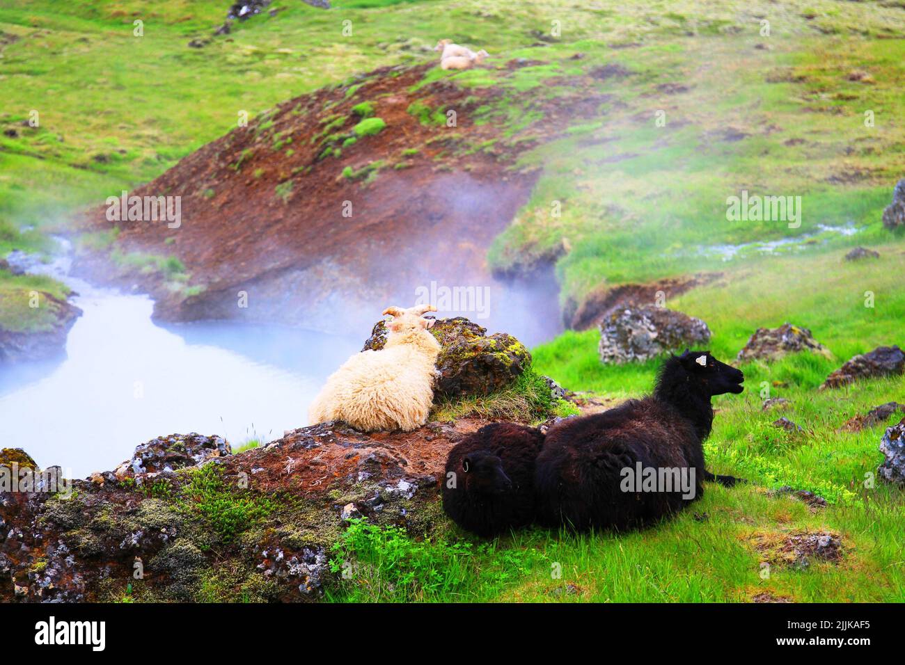 Reykjadalur Hot Spring Thermal River Stock Photo - Alamy