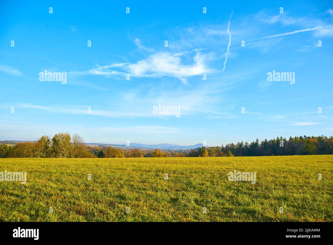 Beautiful landscape field trees hi-res stock photography and images - Alamy