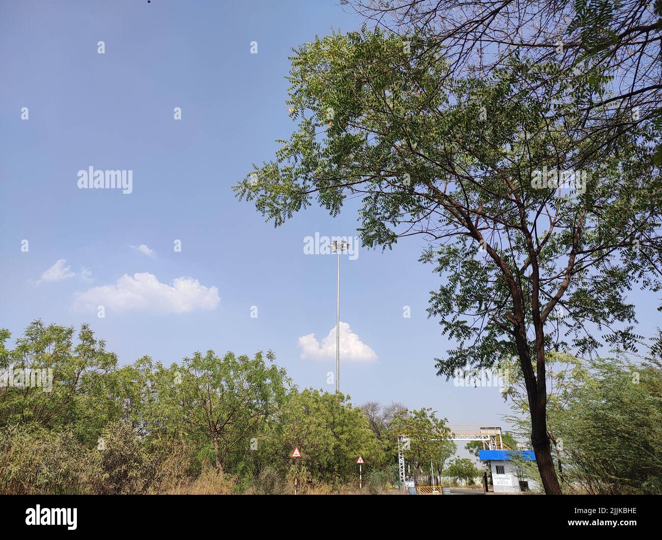 Trees photo background hi-res stock photography and images - Alamy