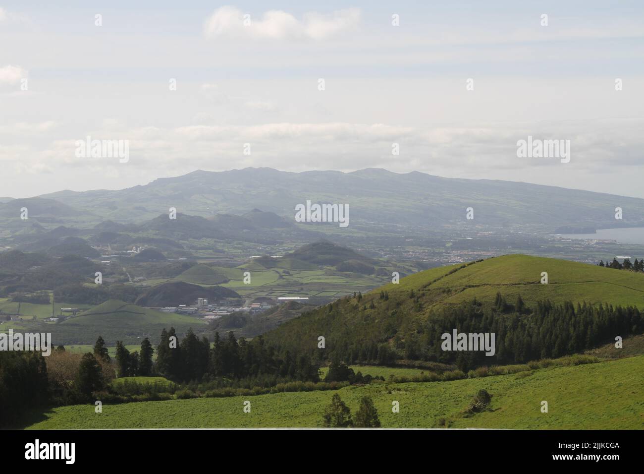 Hilly green landscape trees hi-res stock photography and images - Alamy