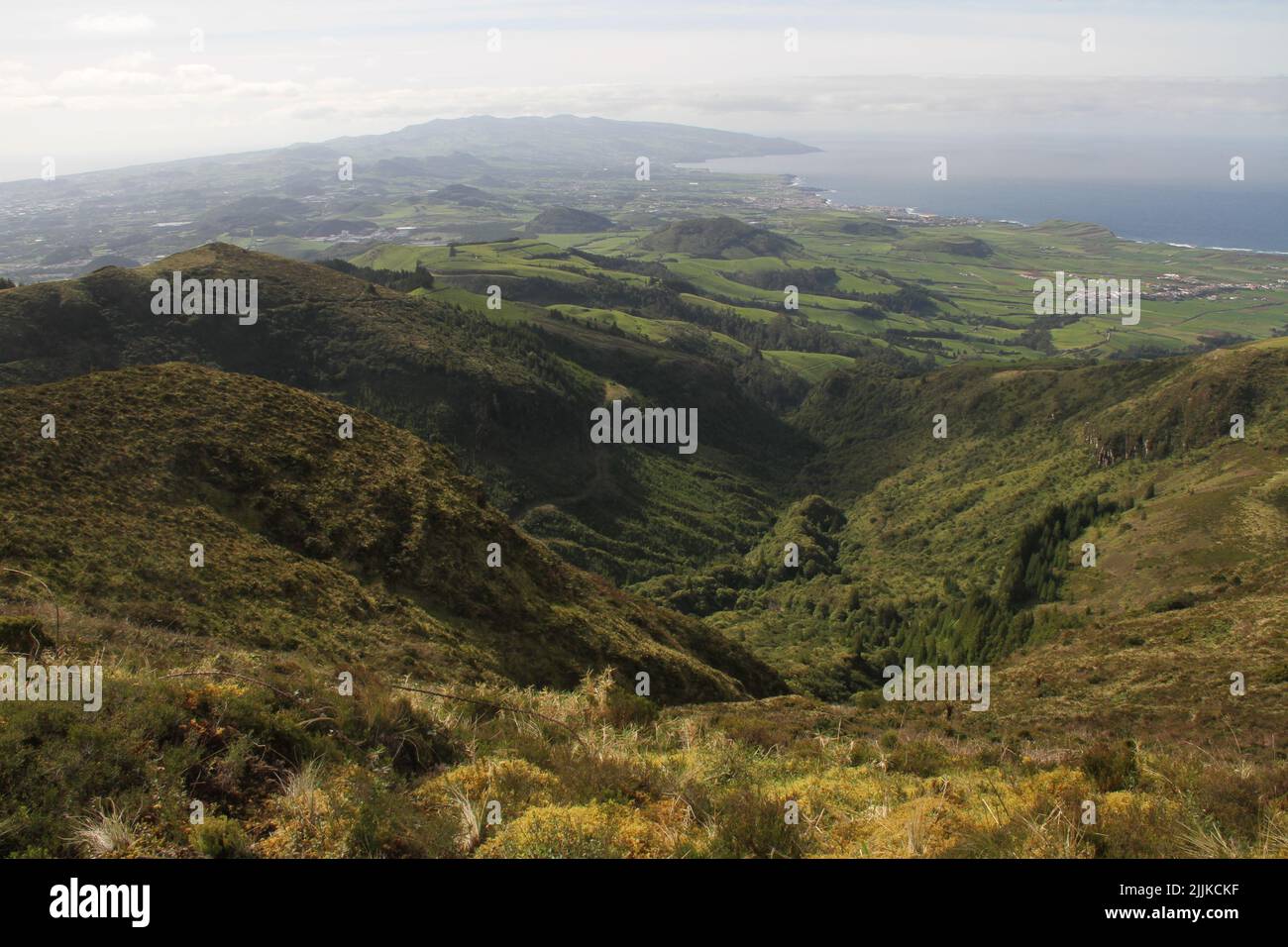 A scenic view of hills covered with green grass and shrubs on a gloomy ...