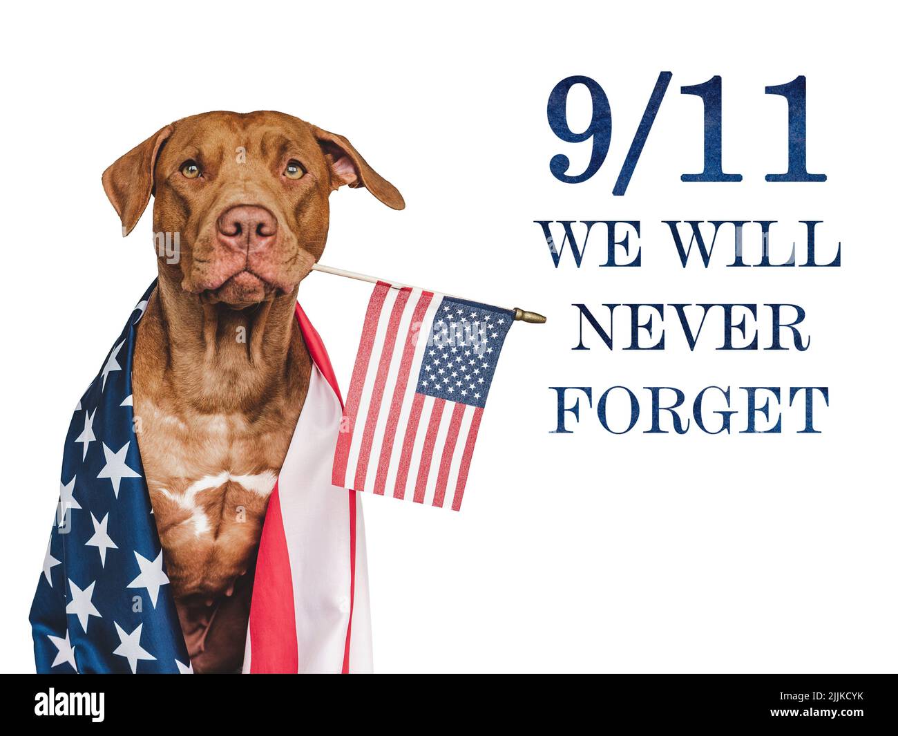 Patriot Day. We will never forget. Adorable puppy and American Flag ...