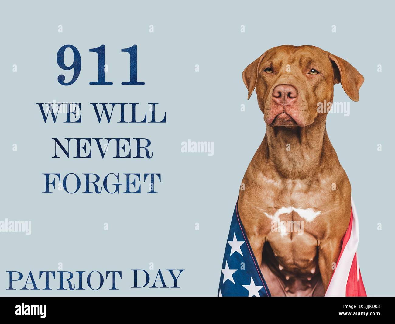 Patriot Day. We will never forget. Adorable puppy and American Flag ...