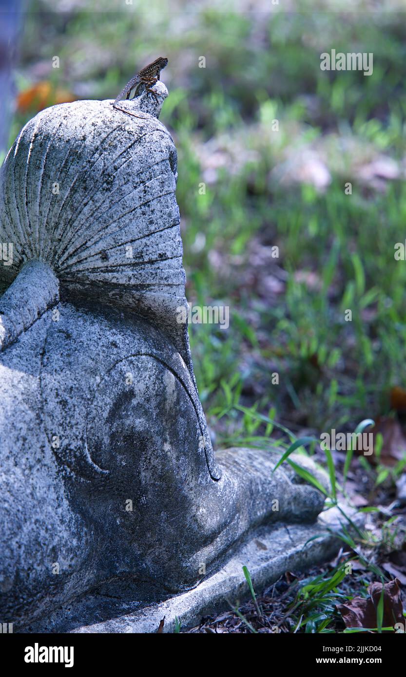 A vertical shot of a sphinx with a lizard on its head Stock Photo - Alamy