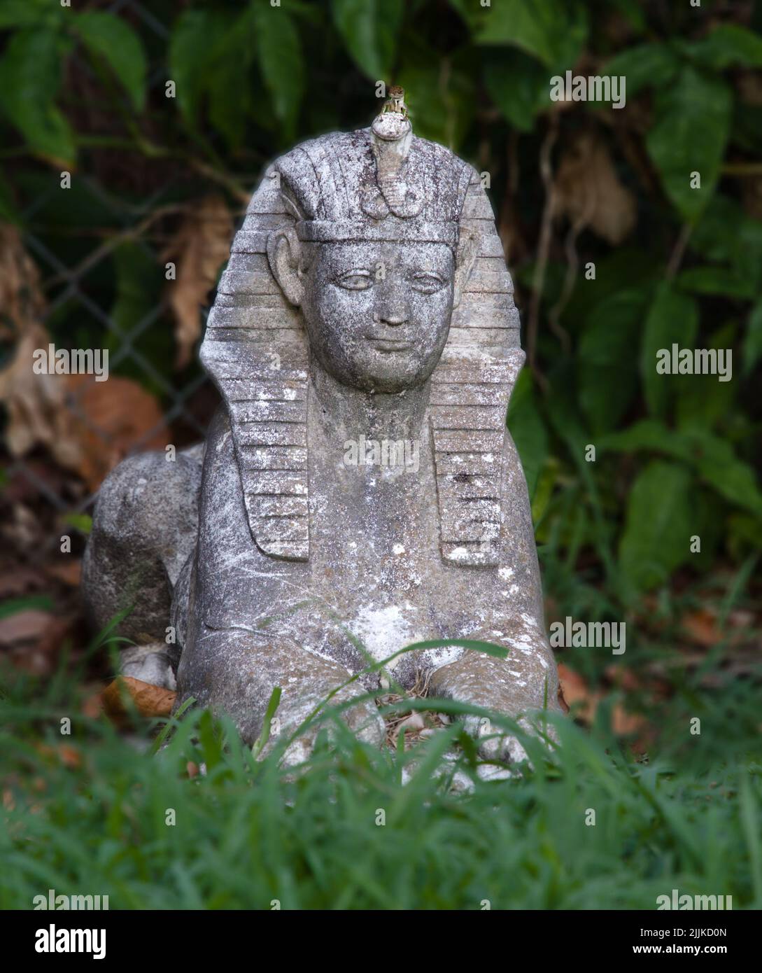 A vertical shot of a sphinx with a lizard on its top Stock Photo - Alamy