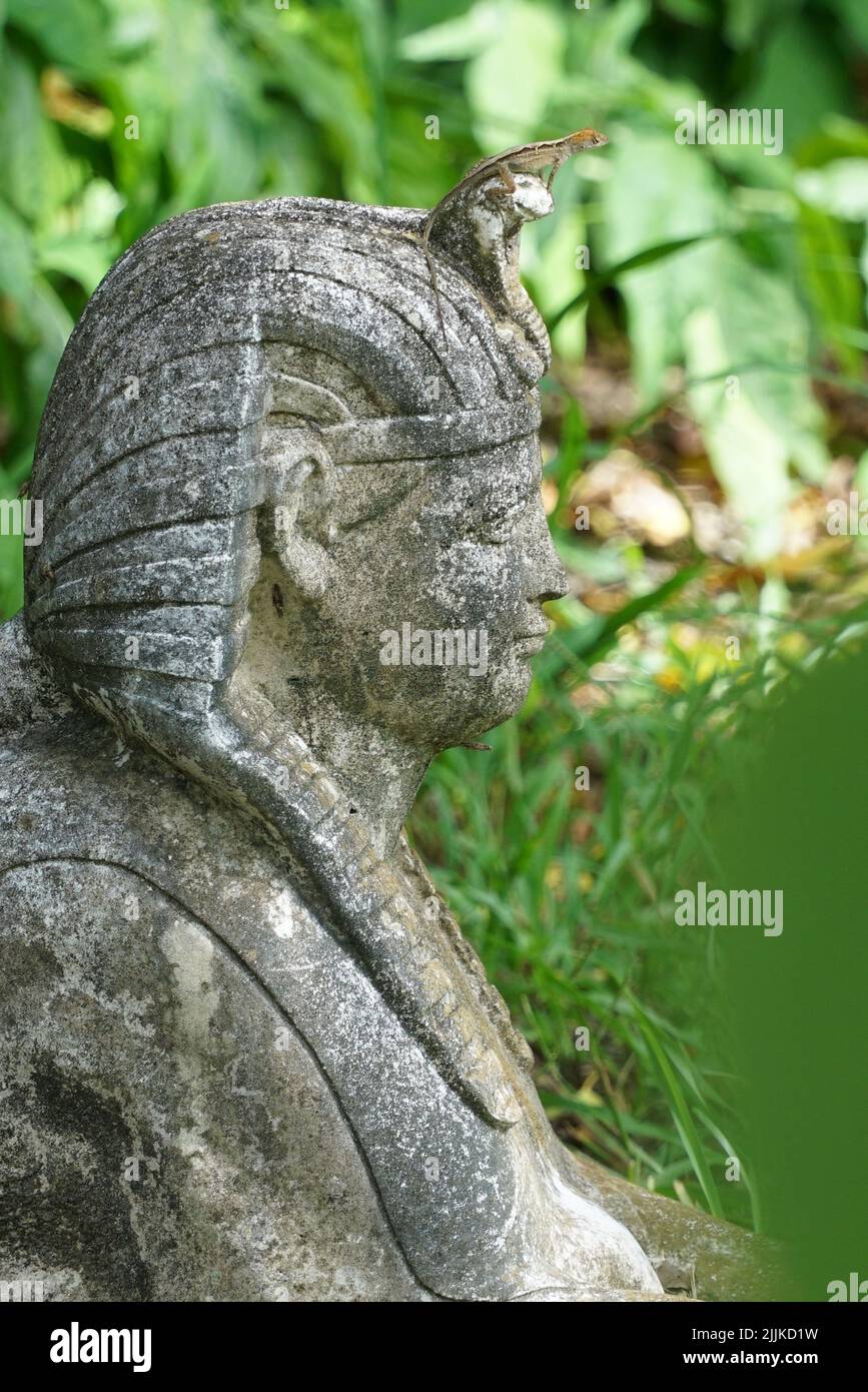 Vertical selective shot reptile hi-res stock photography and images - Alamy