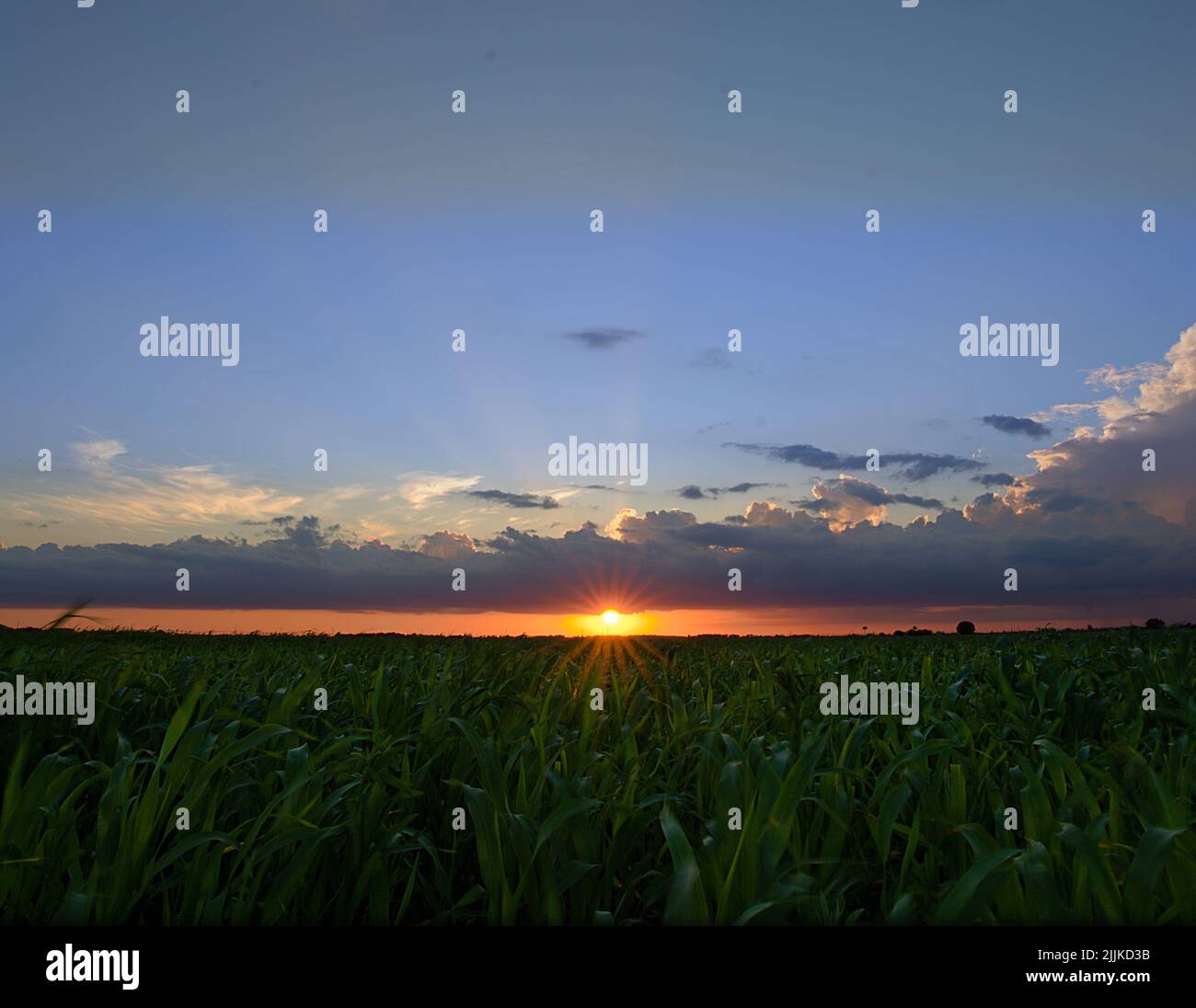 A cloudy sunset sky over a green meadow Stock Photo - Alamy