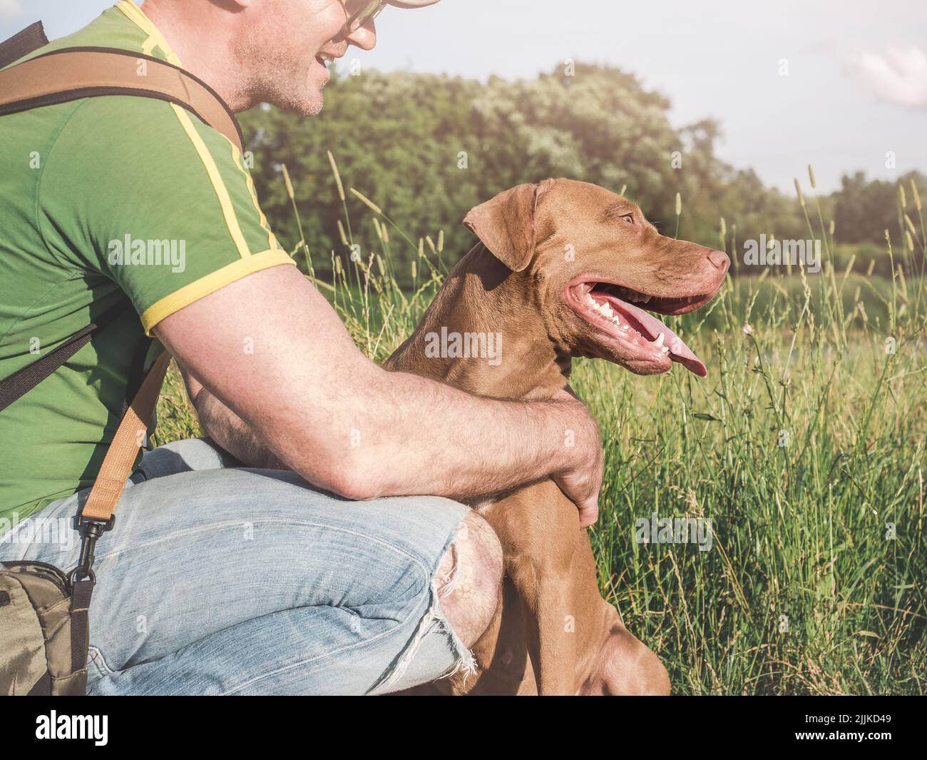 Charming, pretty brown puppy and attractive man. Close-up, outdoors ...