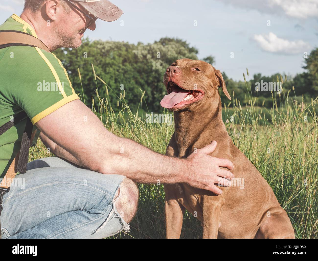 Charming, pretty brown puppy and attractive man. Close-up, outdoors ...