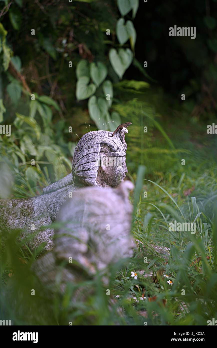 Mythical creature sphinx hi-res stock photography and images - Alamy