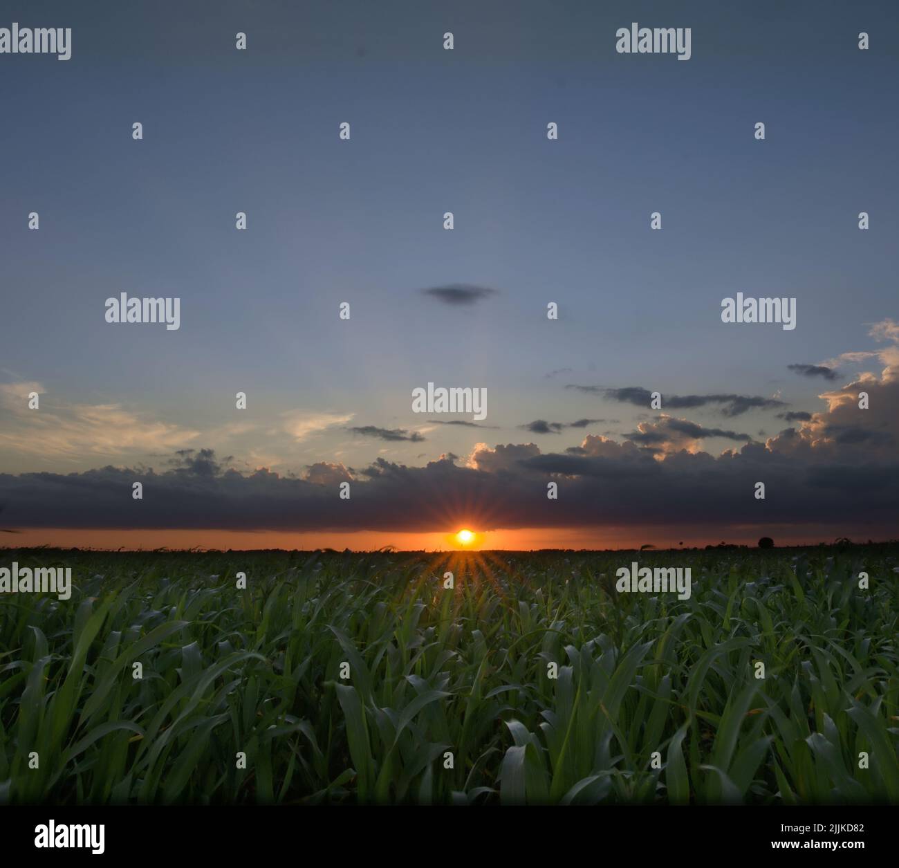 A cloudy sunset sky over a green meadow Stock Photo - Alamy