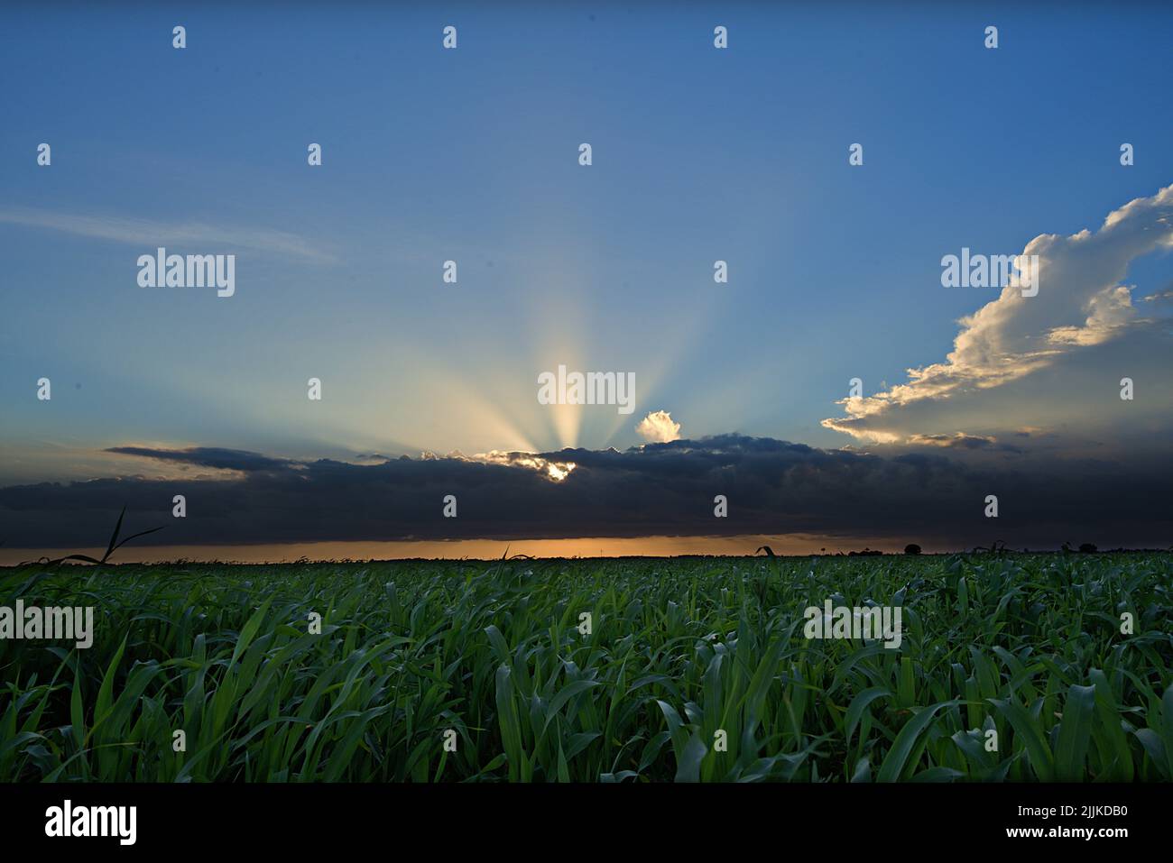 A large green meadow under a cloudy sunset sky Stock Photo - Alamy