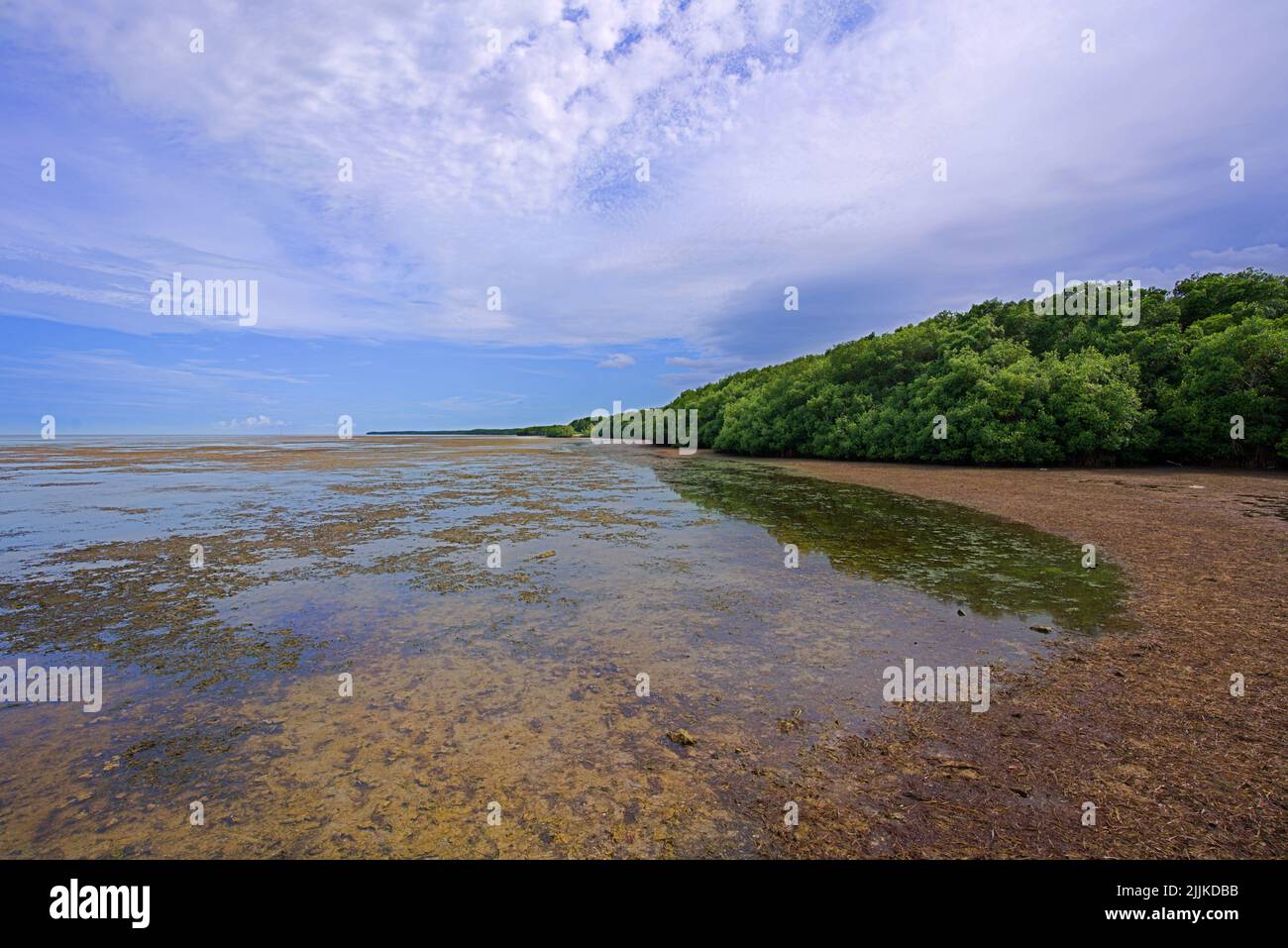 A beautiful sandy beach under a cloudy sky at Deering Bay, Miami Stock ...