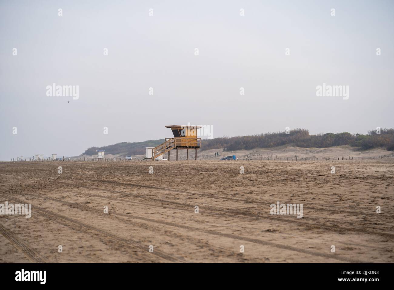 Wide wood hi-res stock photography and images - Alamy