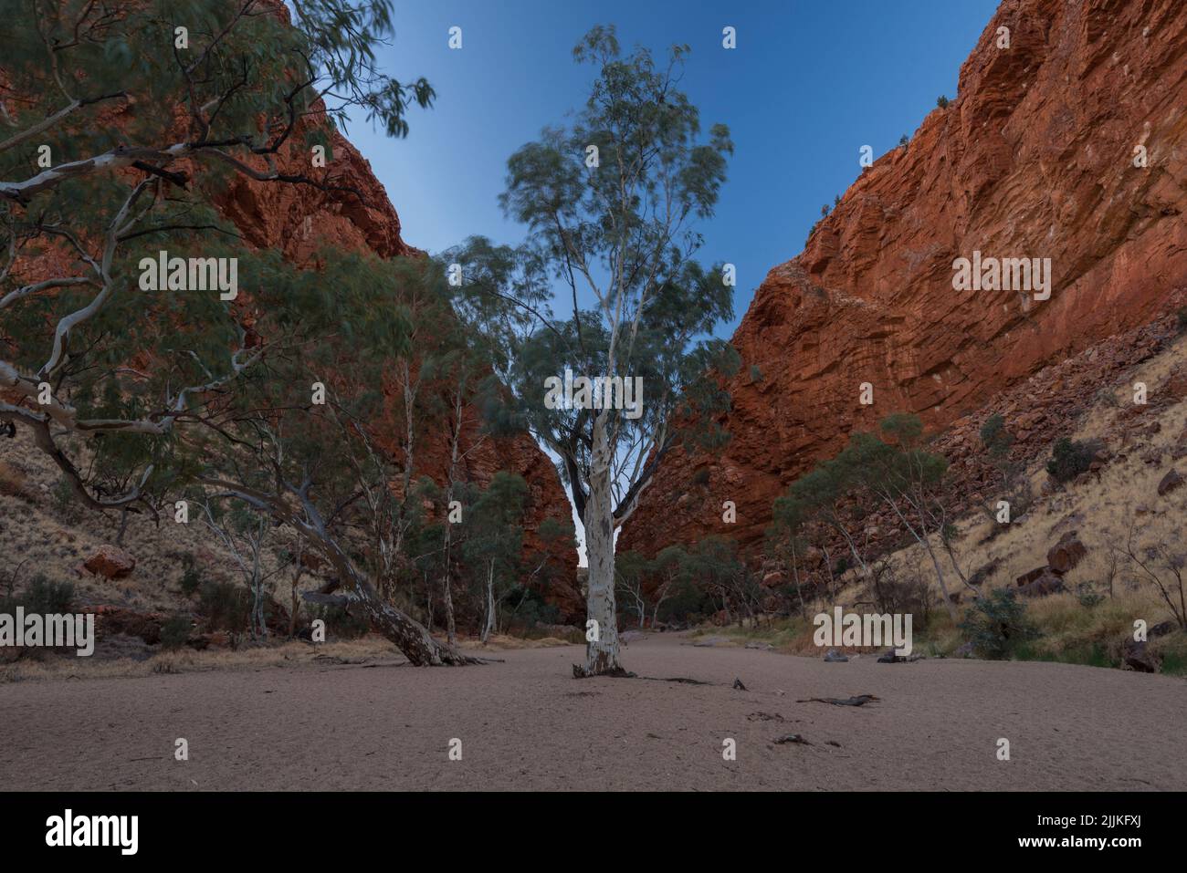 Scenic cliff trees in hi-res stock photography and images - Alamy