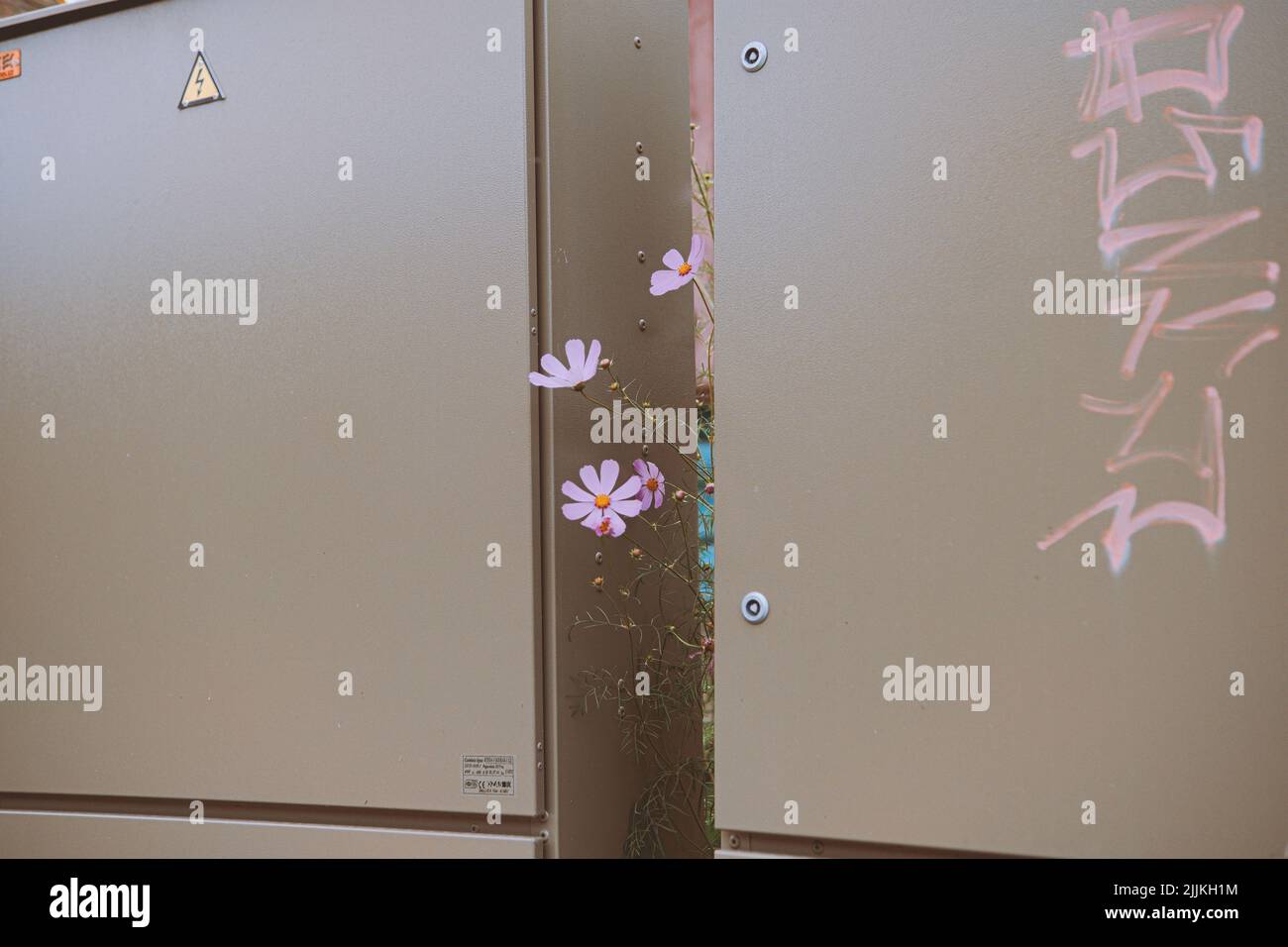 Industrial electric boxes hi-res stock photography and images - Alamy