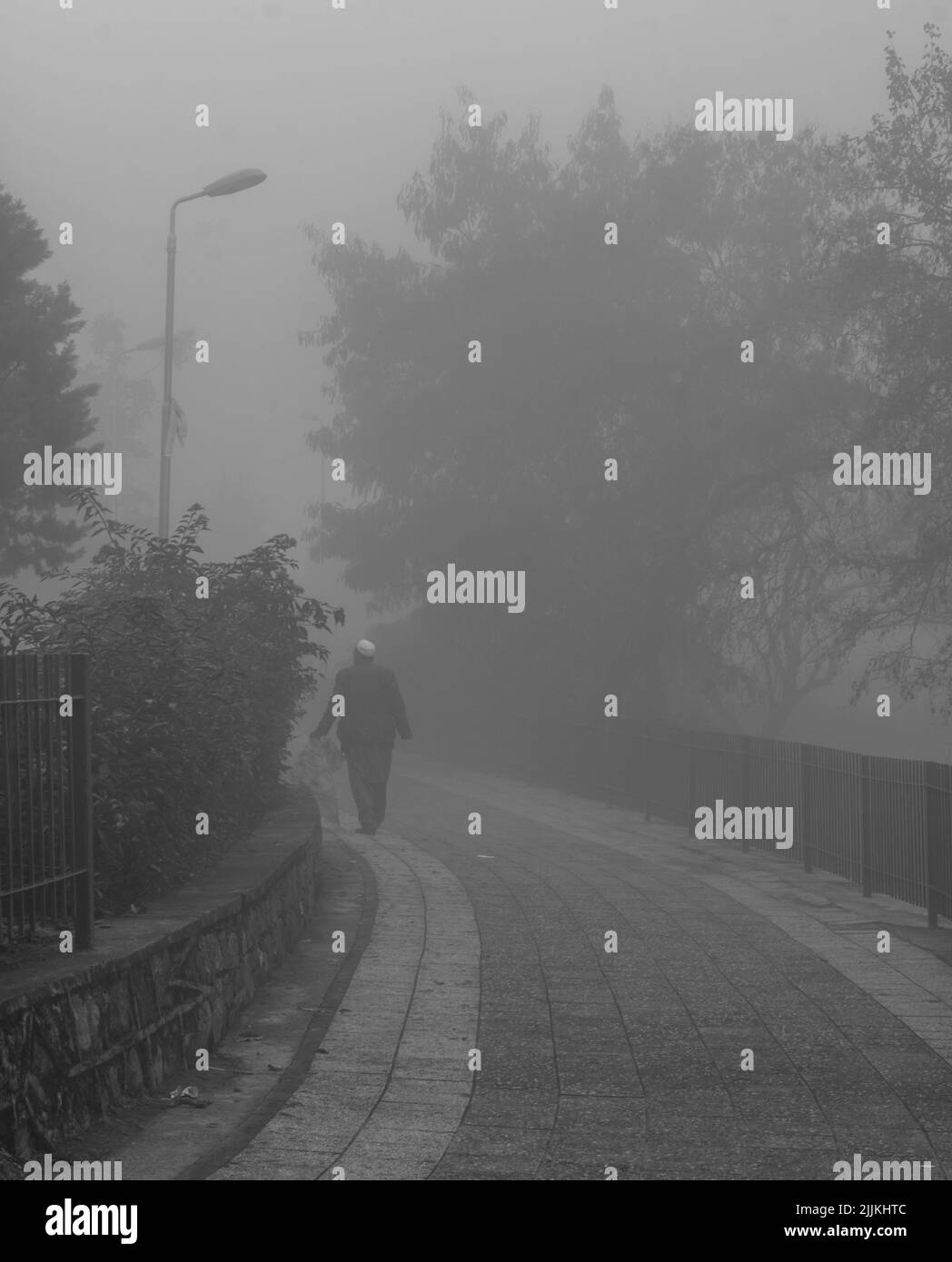 The people walking on the fog-covered road surrounded by high trees ...