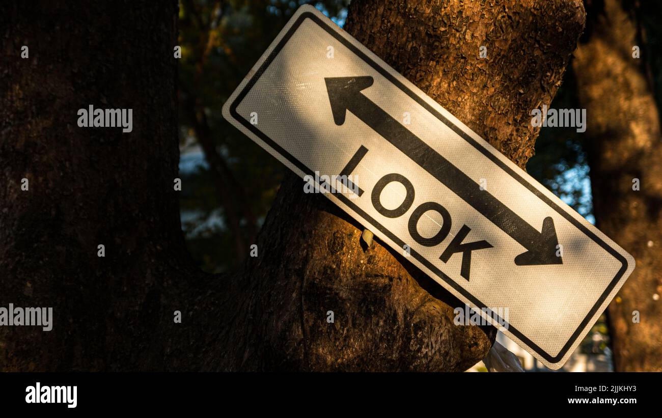 Tree signboard hi-res stock photography and images - Alamy