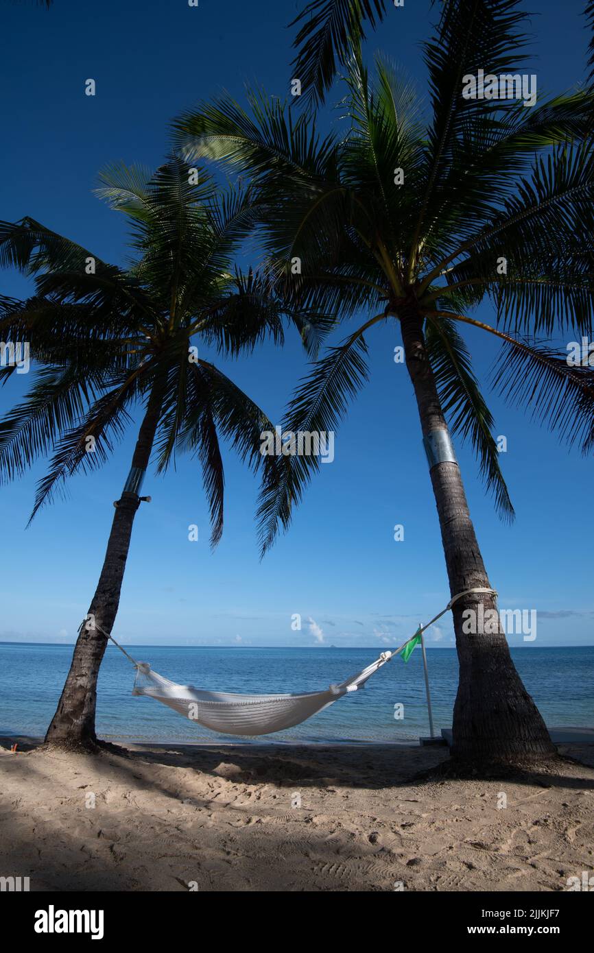 Hammock on a palm tree at the beach hi-res stock photography and images ...