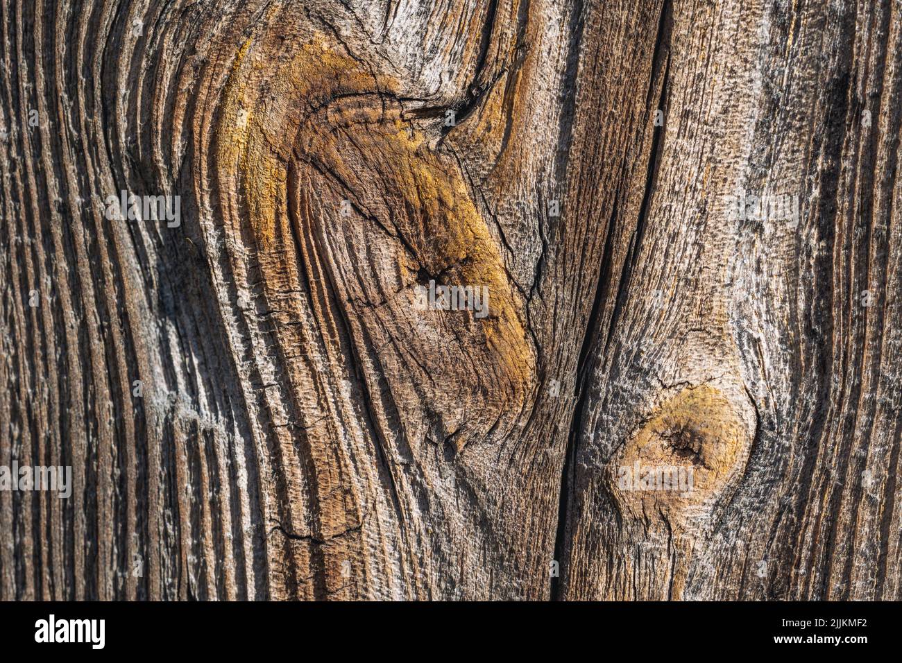 Plank close hi-res stock photography and images - Alamy