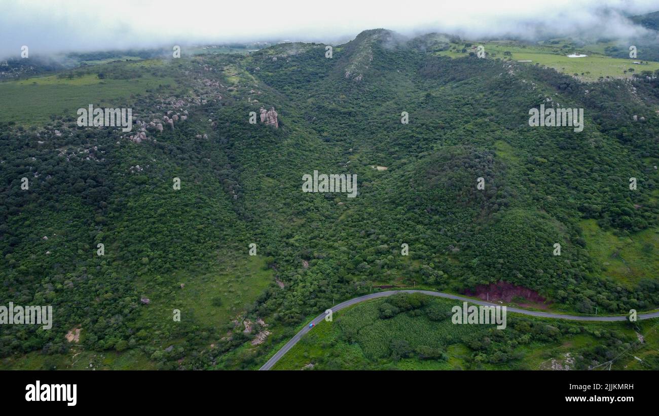 Beautiful green mountain landscape trees hi-res stock photography and ...