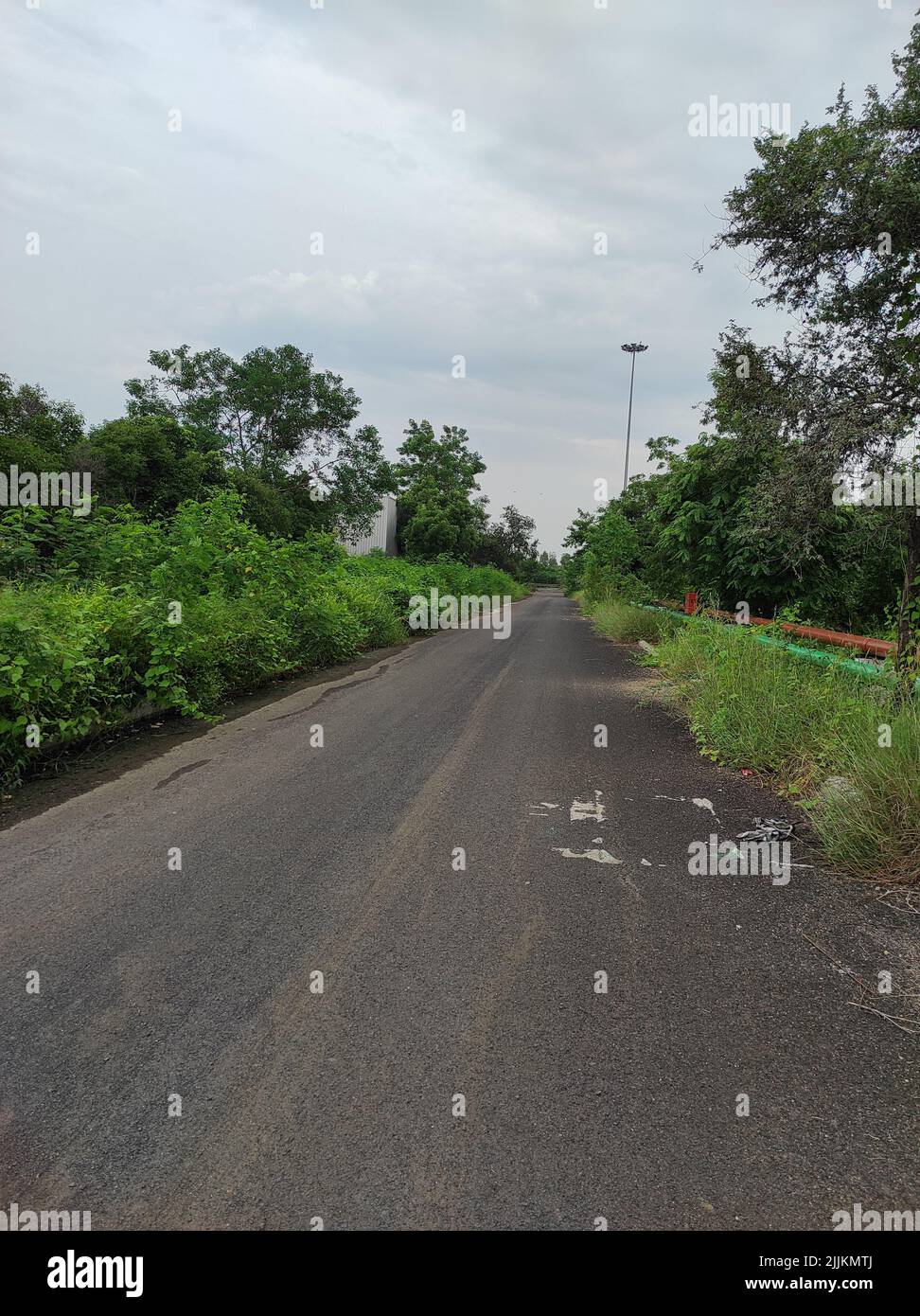 A Beautiful Shot Of Indian Village Road And Tree Nature Beauty ...