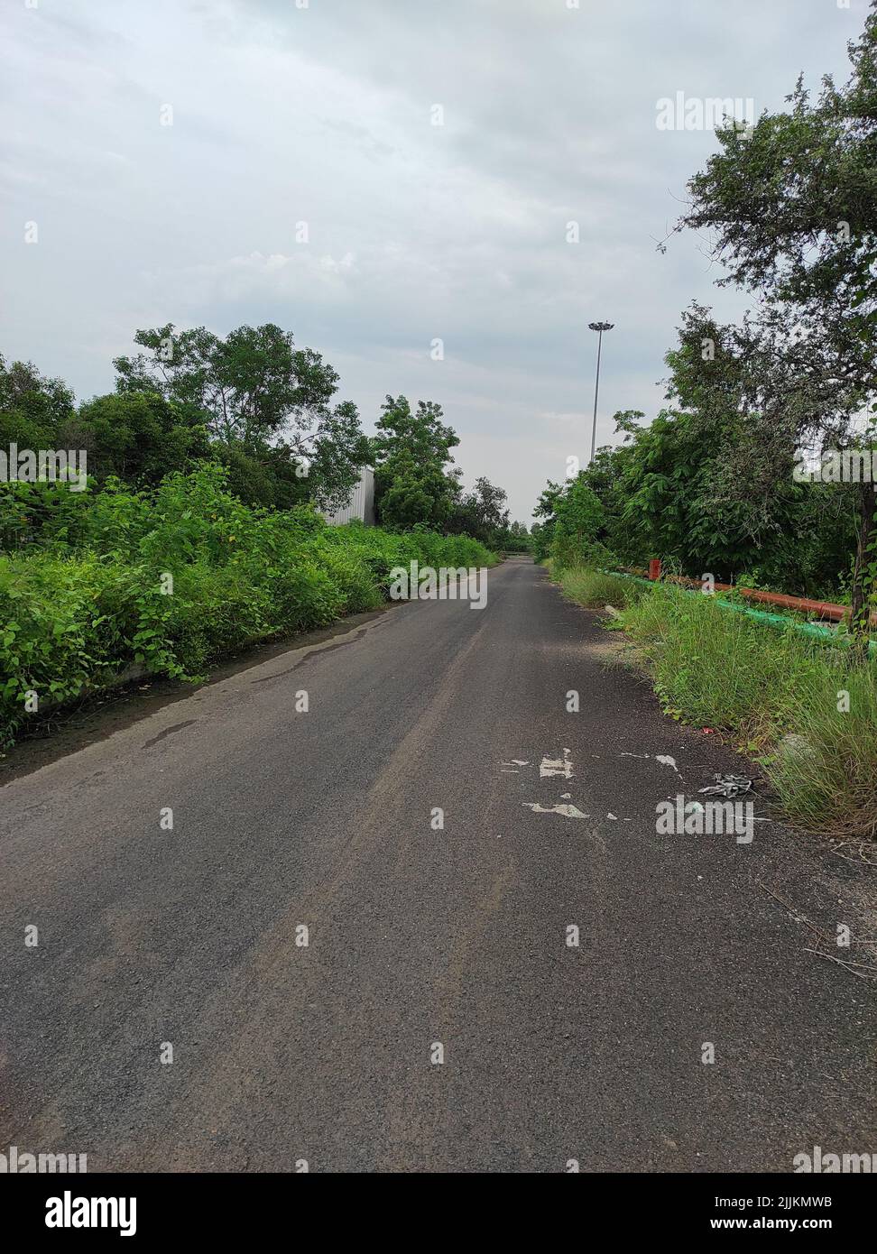 A Beautiful Shot Of Indian Village Road And Tree Nature Beauty ...