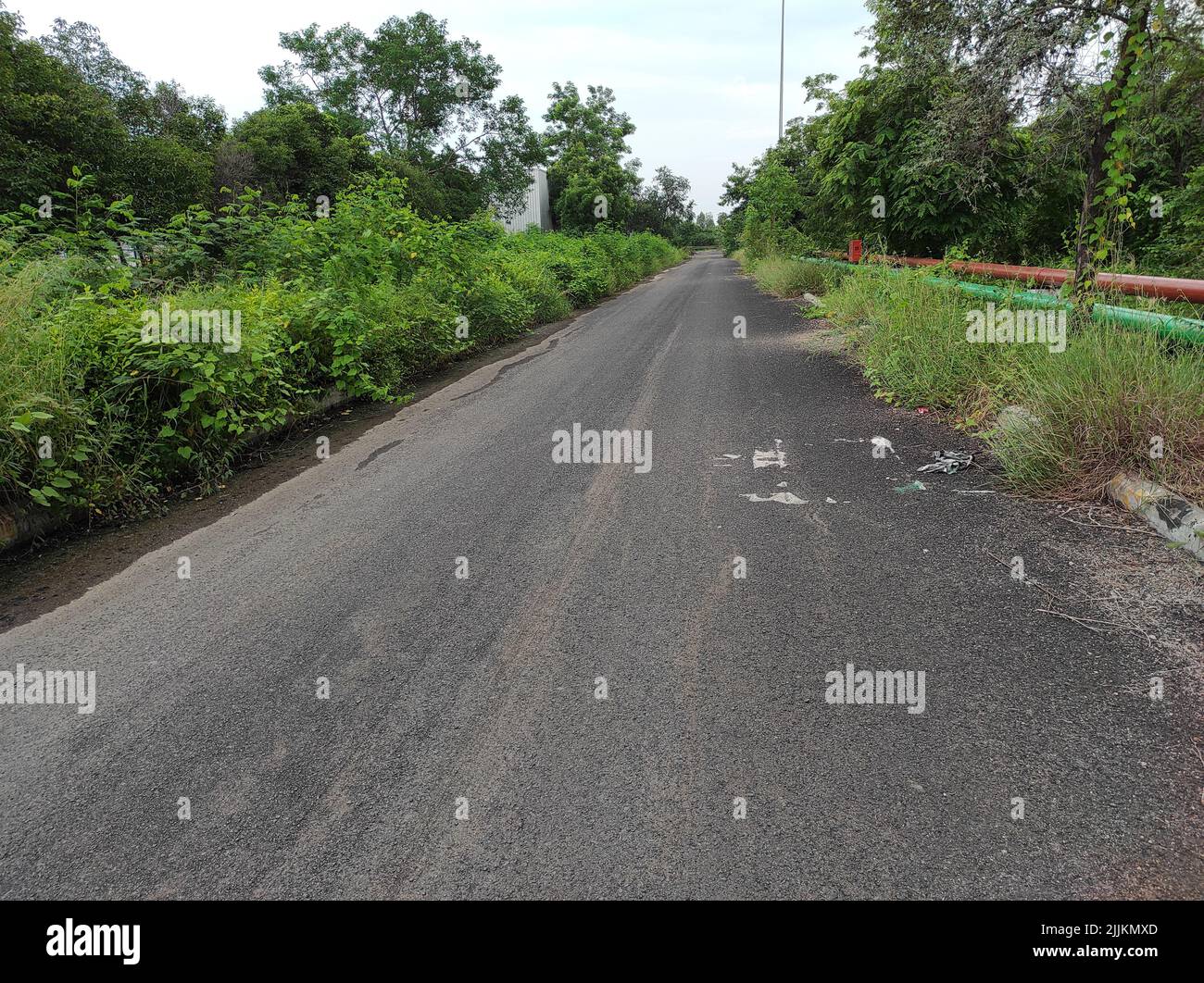 A Beautiful Shot Of Indian Village Road And Tree Nature Beauty ...