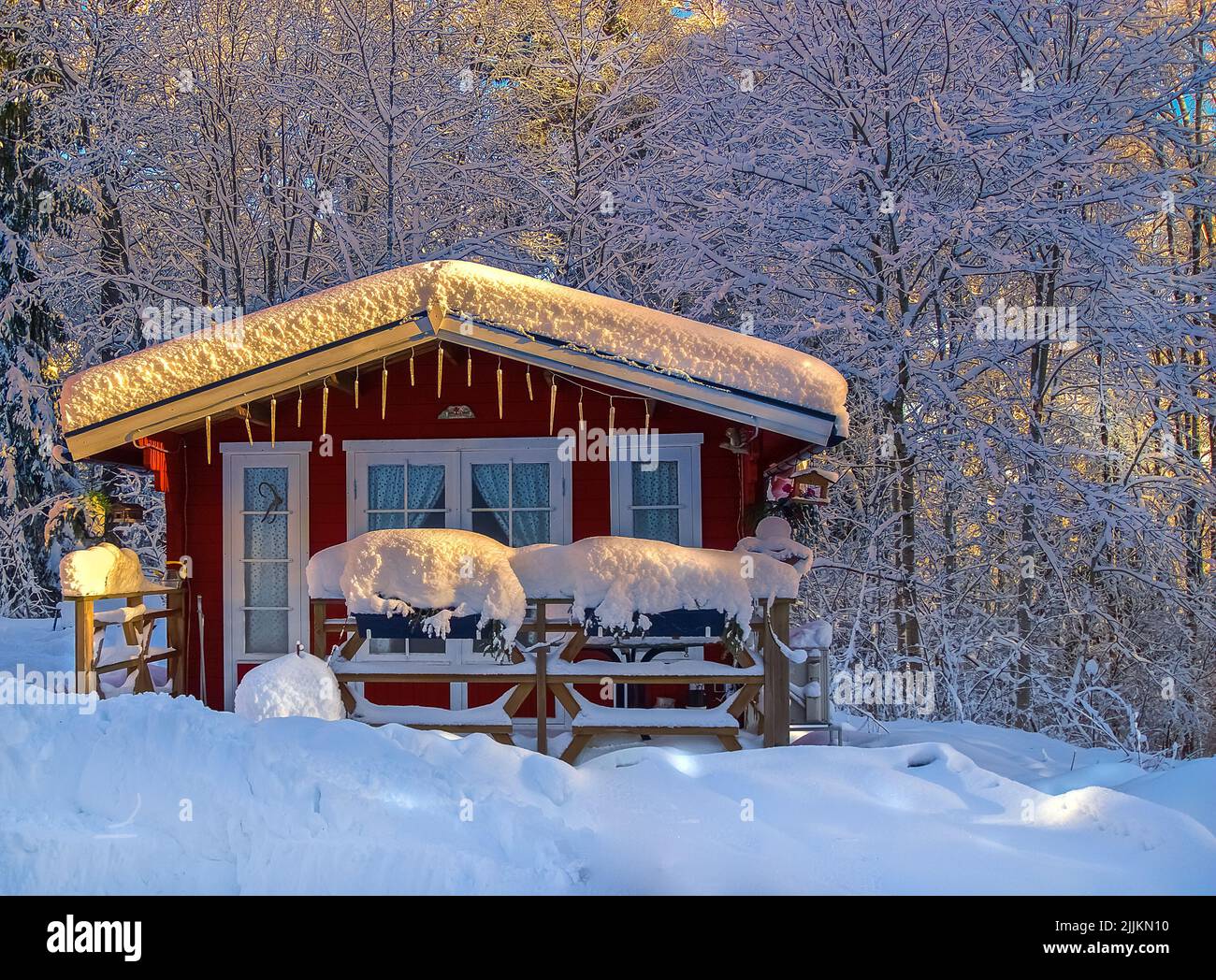 Beautiful forest sweden hi-res stock photography and images - Alamy