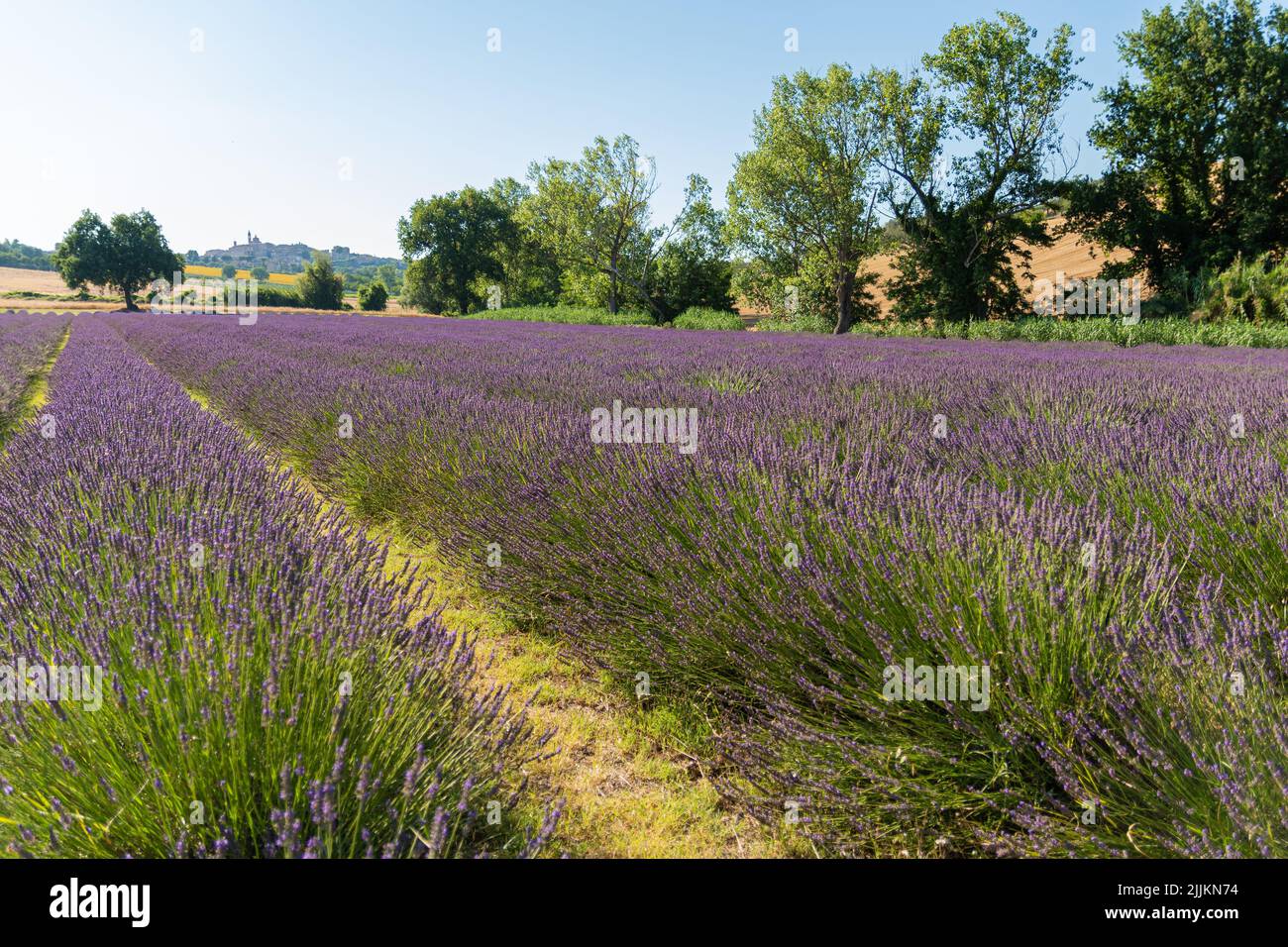Beautiful field view hi-res stock photography and images - Alamy