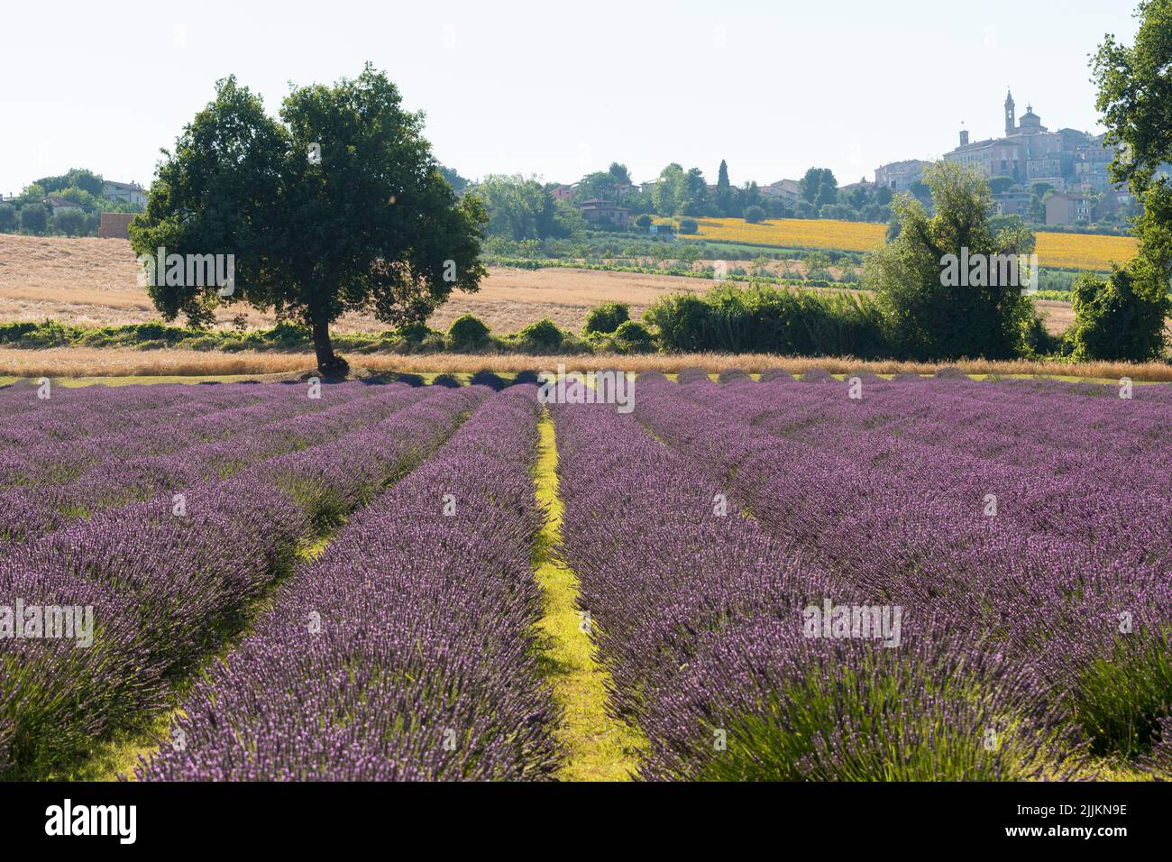 Beautiful field view hi-res stock photography and images - Alamy