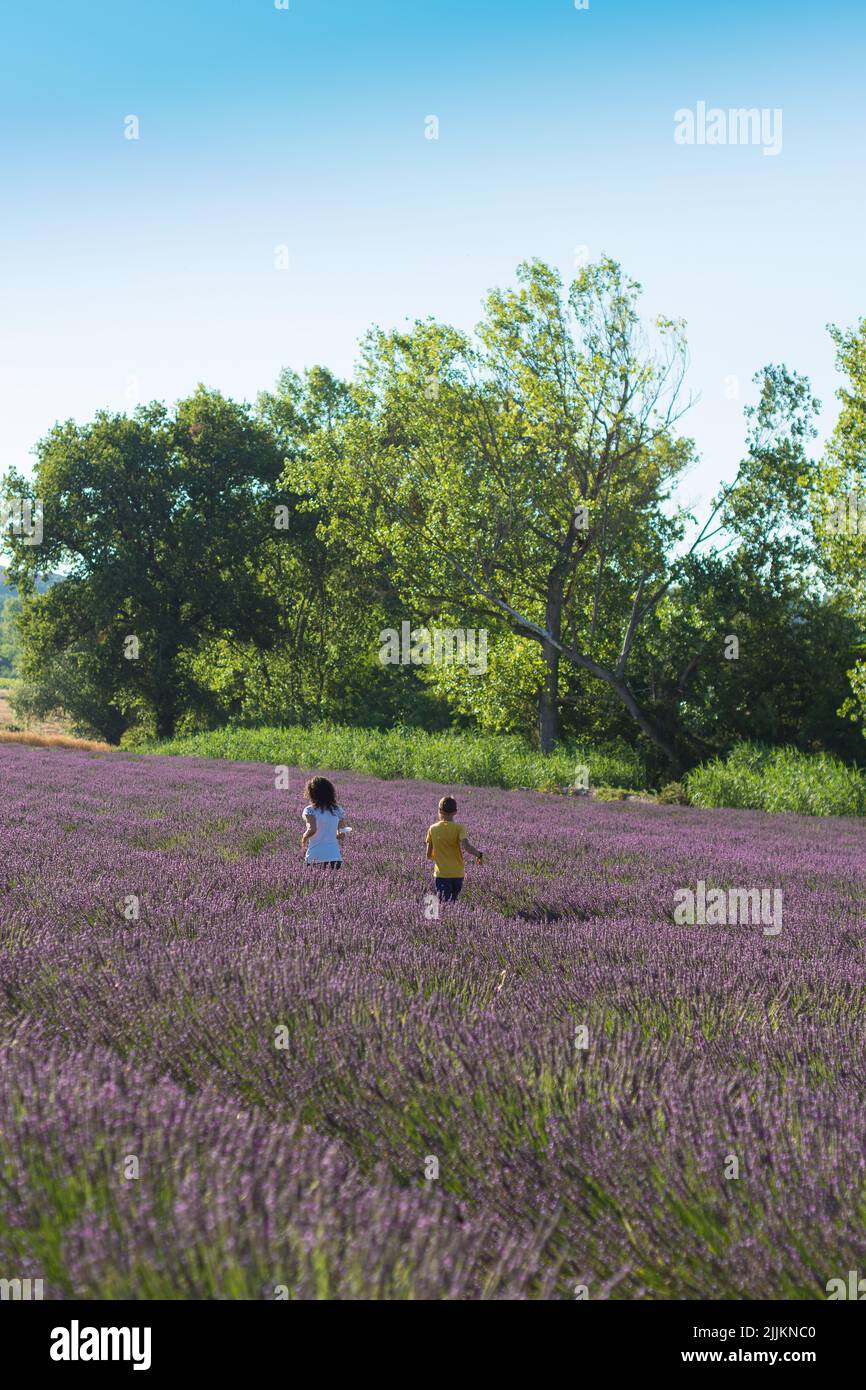 Kids running in garden hi-res stock photography and images - Alamy