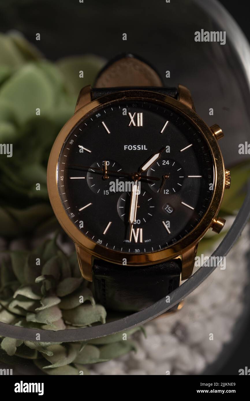 Fossil watch hi-res stock photography and images - Alamy