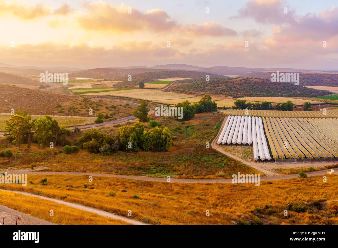 Sunrise view of countryside and rolling hills in the Shephelah region ...