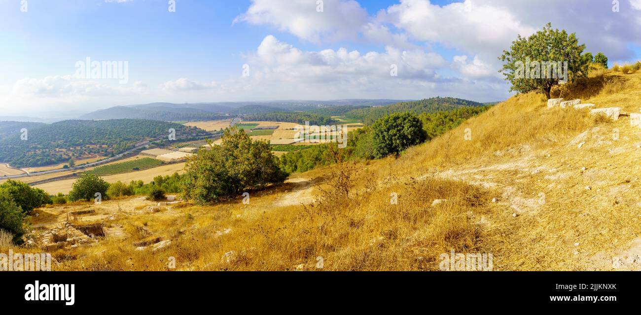 Panoramic view of trees, countryside and rolling hills in the Shephelah ...