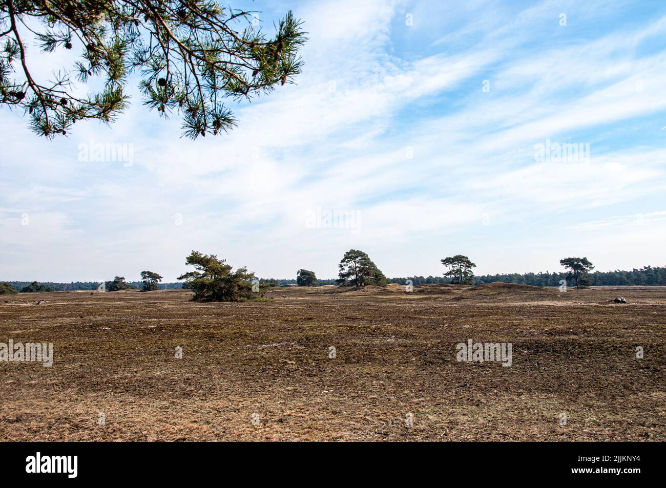 A view of empty fields and bushes Stock Photo - Alamy