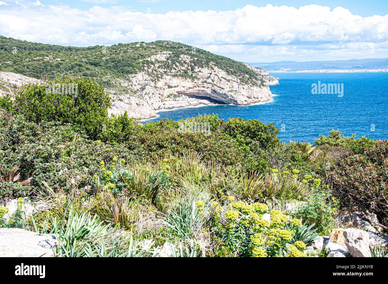 Aerial view island greenery trees hi-res stock photography and images ...