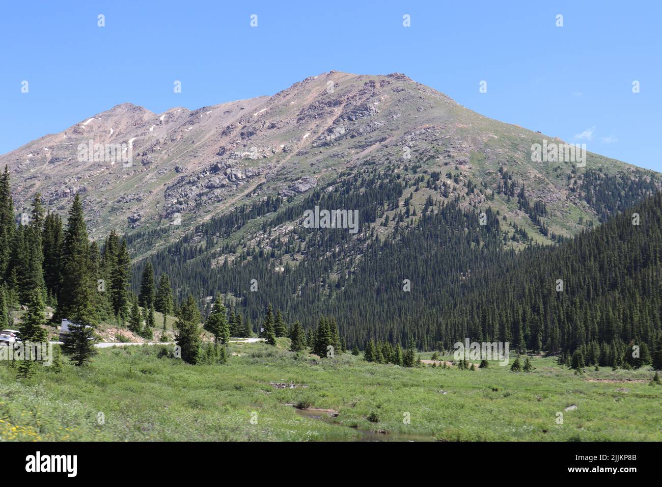 A landscape of mountains and a coniferous forest near the Continental ...