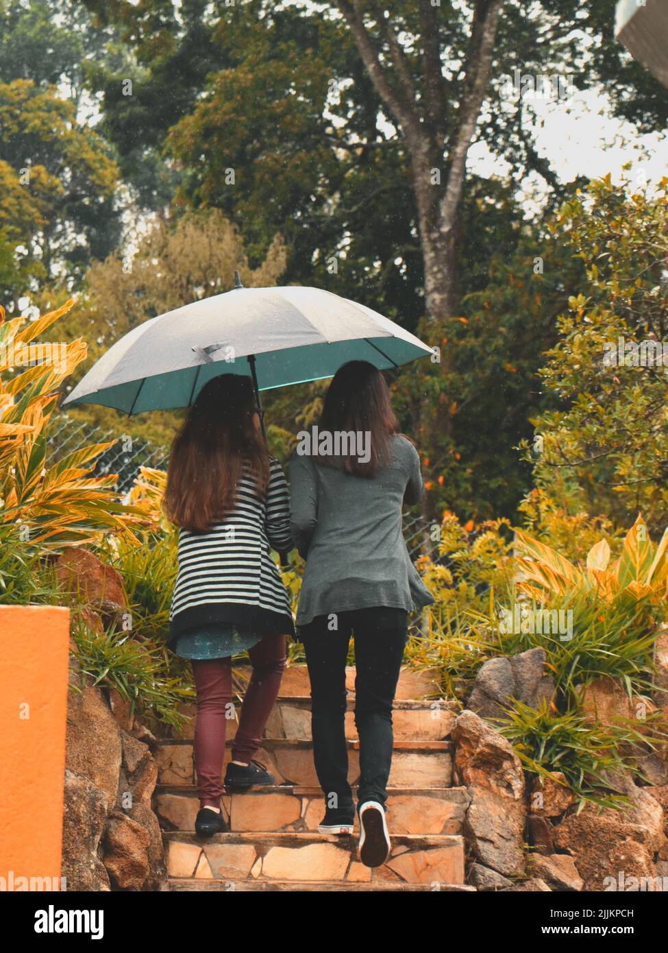two teenagers from the back walking under the umbrella Stock Photo - Alamy